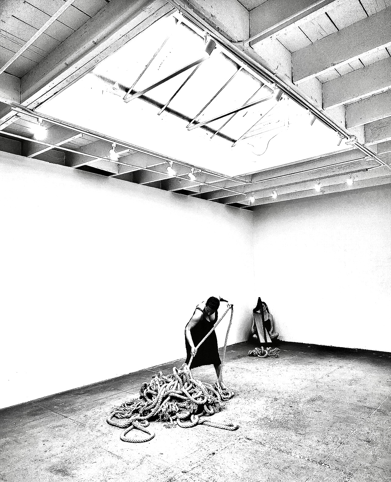 Disentanglement / Re-embodiment